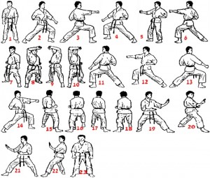 Historique du karaté ( Techniques, Kata, Kumite ) | FudoShin